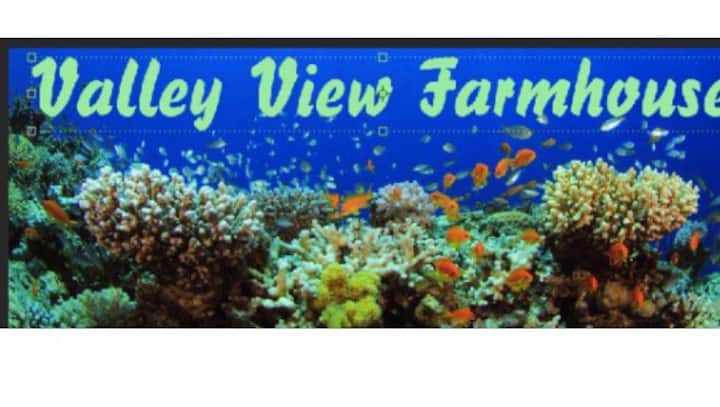 3bhk Valley View Farmhouse Attached Swimming Pool - Neral