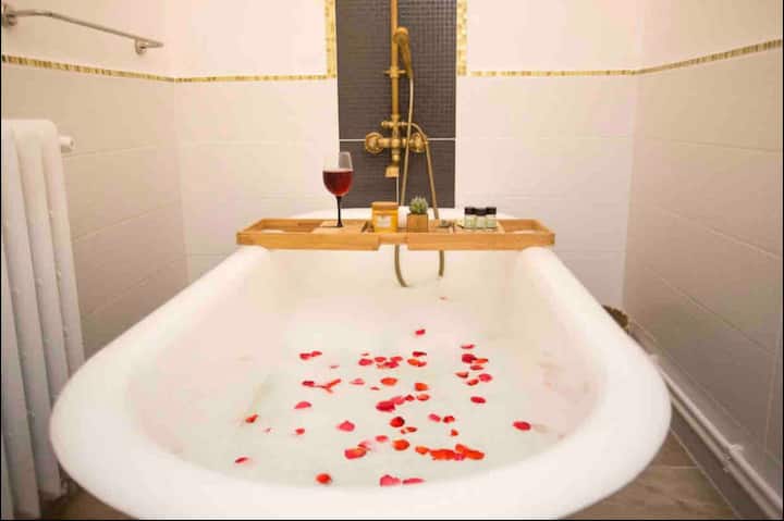 Studio Elegant In Centru Cu Terasa Si Baie - Sighișoara