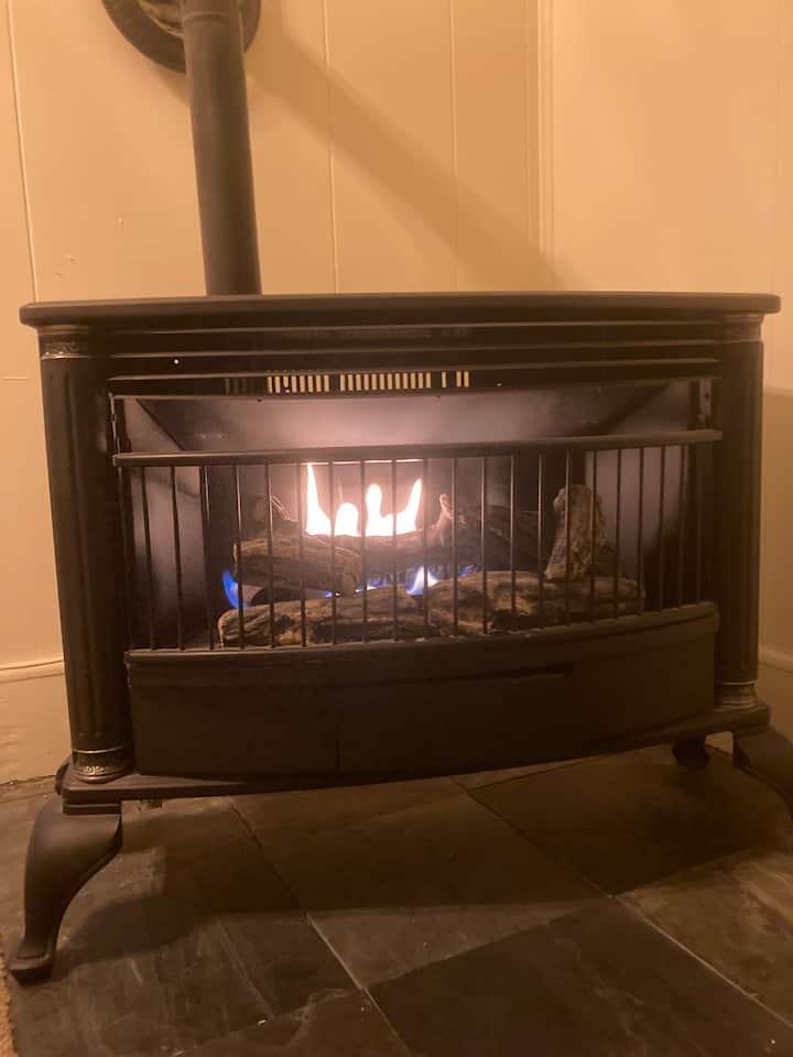 Private/homey/chefs Kitchen/fireplace 1 Bed/bath - Columbia, SC