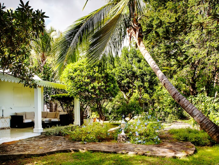 Senteur Vanille - Villa Mangue - Saint-Gilles les Bains