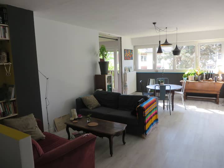 Lumineux Et Calme T3 Annecy/annecy-le Vieux - Annecy