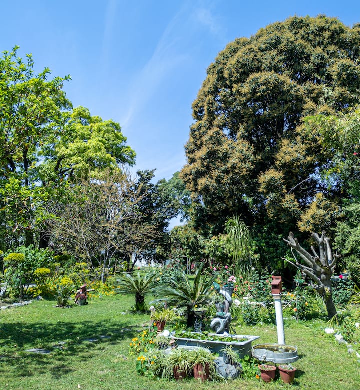 Laidback Outhouse Homestay In Dalanwala - デーラー・ドゥーン