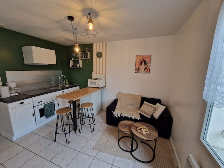 Bel Appartement Rénové (Alouette) - Ventron