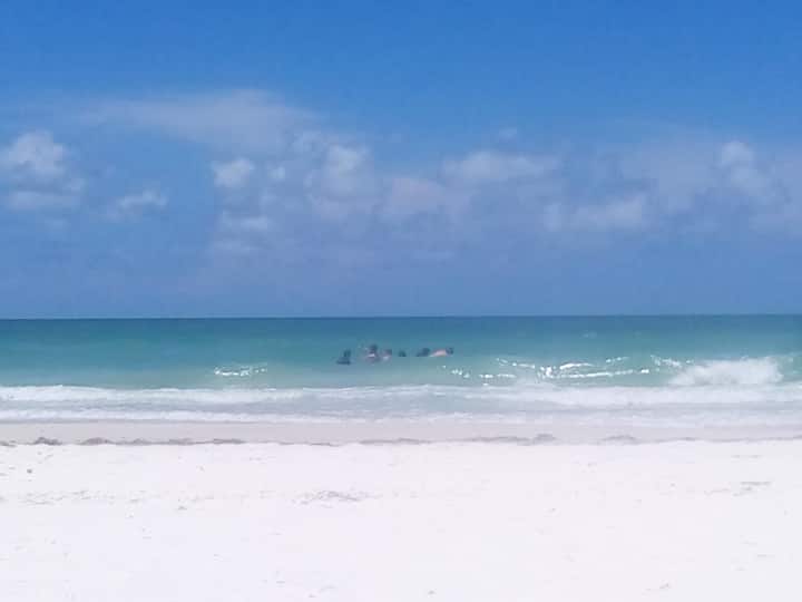 Indian Rocks Beach "The Narrows" - Indian Rocks Beach, FL