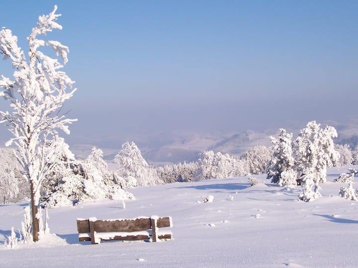 Ferienwohnung "Balou" Für 4-7 Pers. In Willingen - Willingen