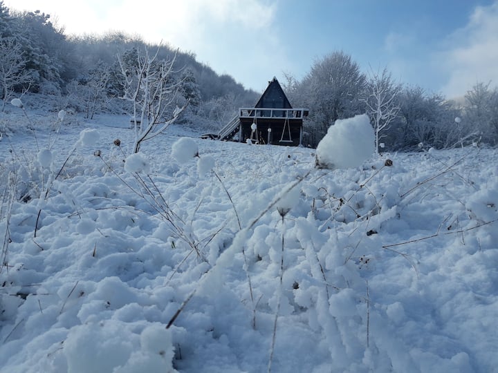 Piramitevim-1 Doğanın Kalbinde Hayata Kısa Bi Mola - Turquie