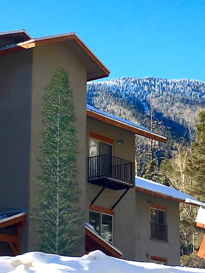 Inn At Taos Valley 16 - Taos Ski Valley, NM