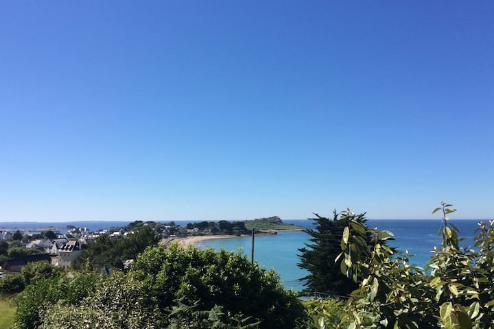 Magnifique Vue Mer - Plougasnou