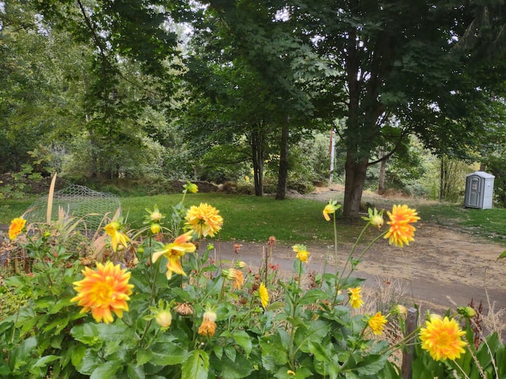 Dan's Green Acre Campsite - Port Townsend