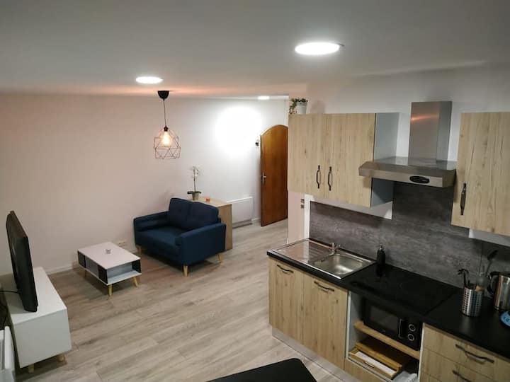 Appartement Plein Centre-ville Avec Terrasse - Montbéliard
