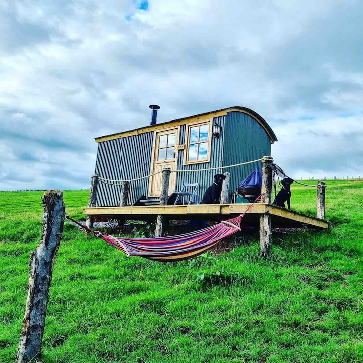 Oak - Shepherds Hut, Big Sky And Great Views - Devon