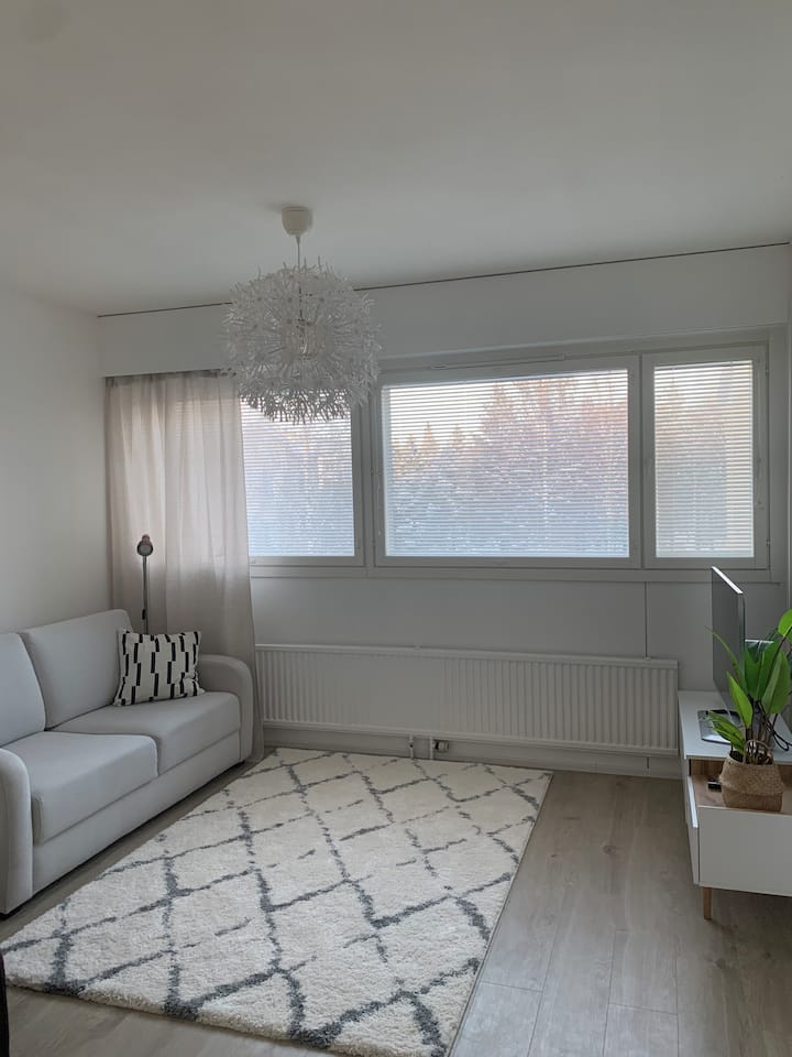 Viihtyisä Kaksio Lähellä Keskustaa+maksuton Parkki - Ilmajoki