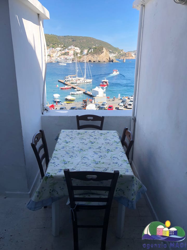 Ulivo - Ponza