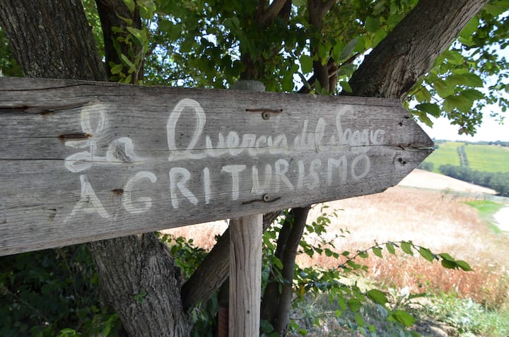 Vacance De Tout Relax A Senigallia - Senigallia