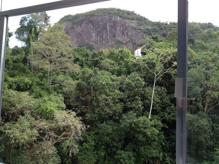 Linda Vista Da Floresta - Rio de Janeiro