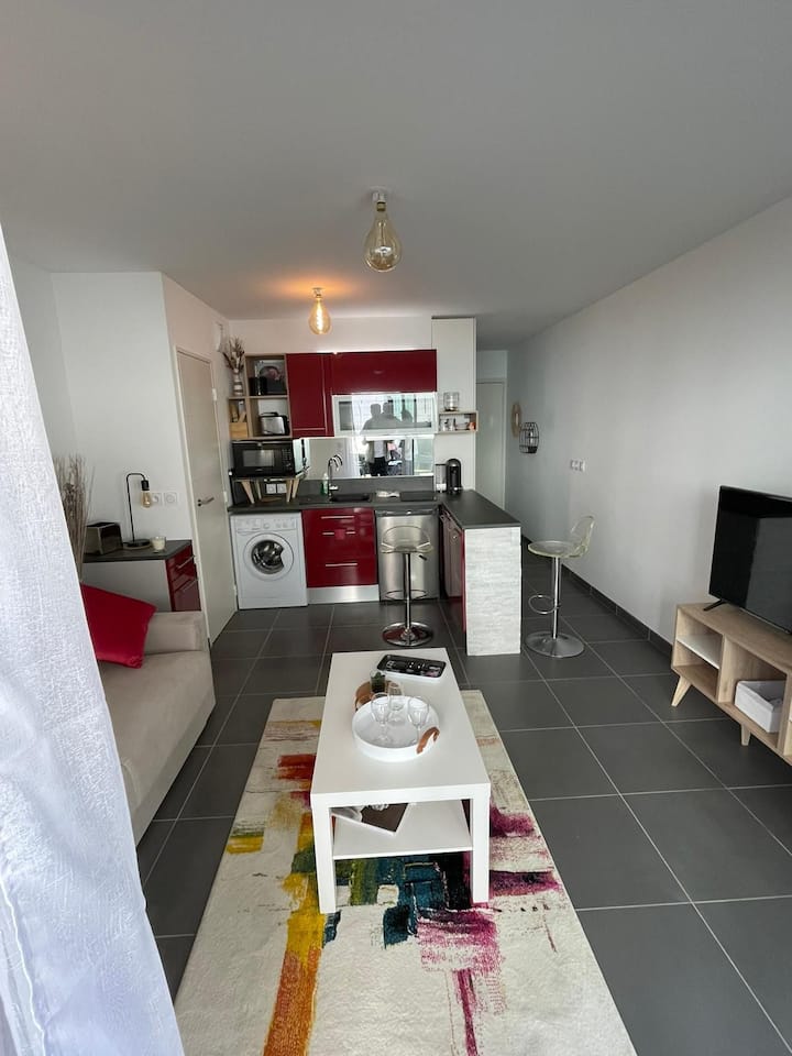 Tres Joli Studio Neuf Rdj Meuble Terrasse De 36m2 - Parc Phœnix - Nice