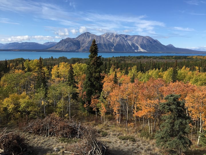 Atlin Vacation Rentals & Homes - British Columbia, Canada | Airbnb