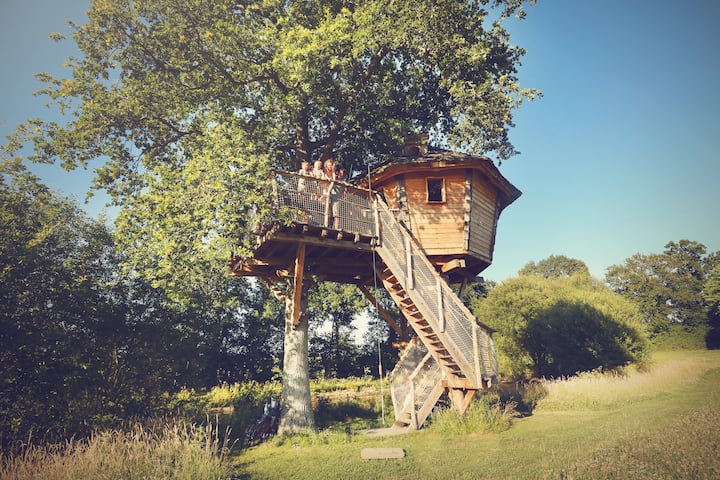 La Chouette Cabane - Lapone - Craon