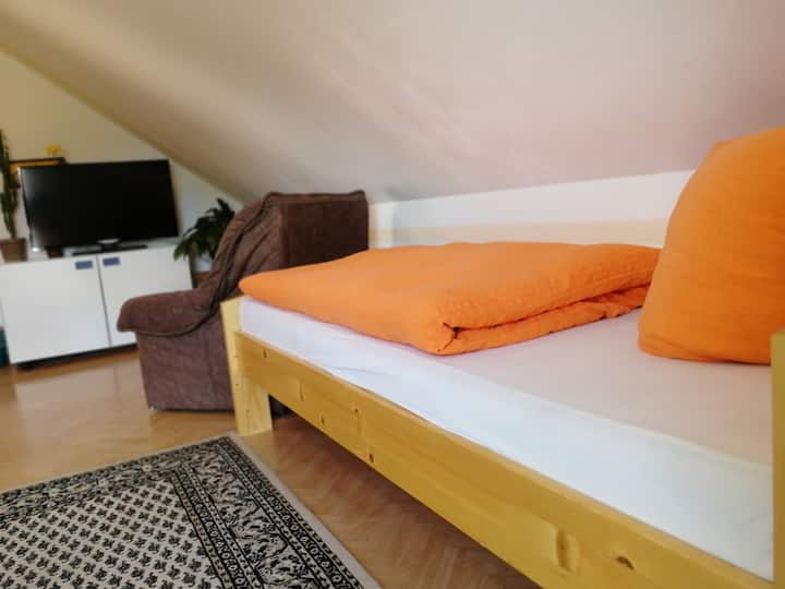 Ruhiges Gästezimmer - Magdeburg