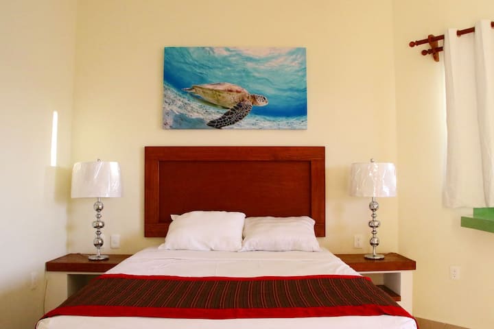 Turtle Studio 1 - Puerto Morelos