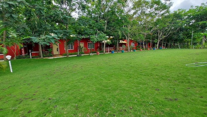 Four Bedded Room Panther Jungle Stay - Dandeli