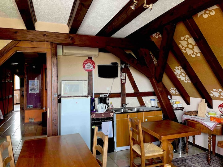 Chambre D'hôtes D'elisabeth - Bergheim