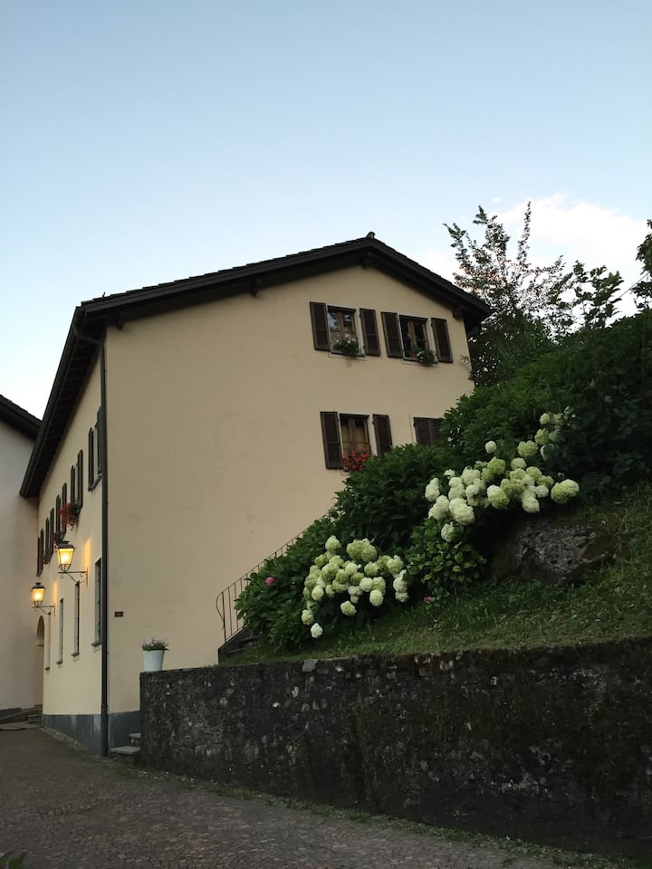Grande Casa Immersa Nella Natura - Lugano