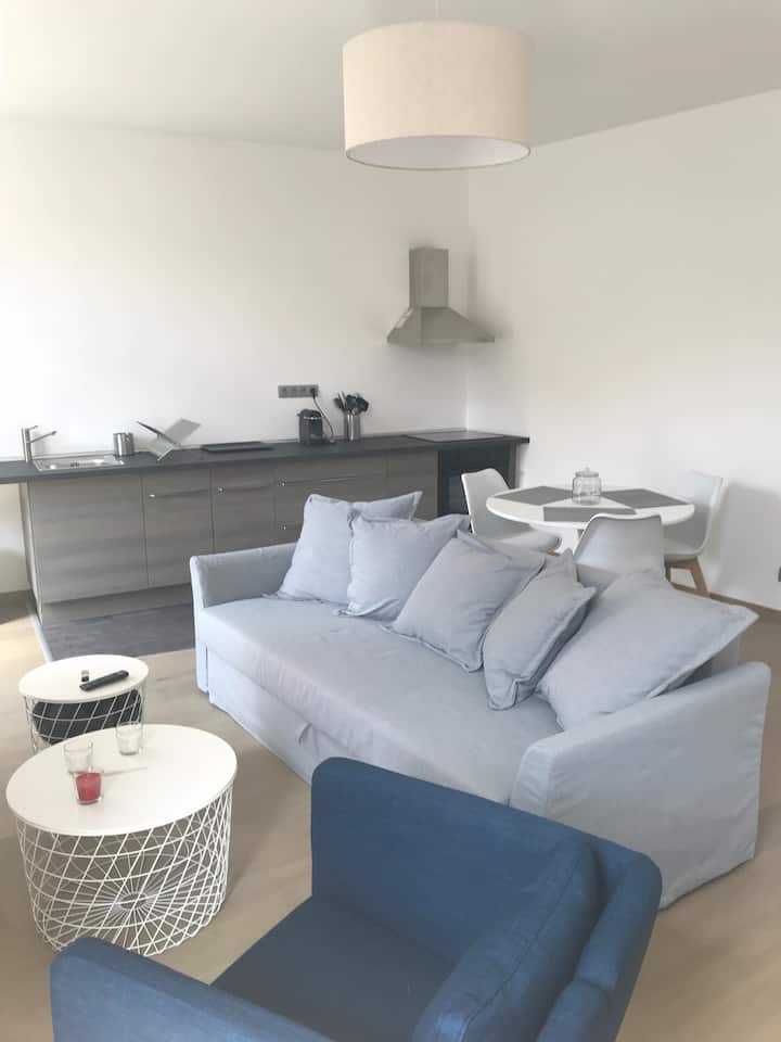 Appartement Rénové 70m2 Centre De Tournai - Tournai
