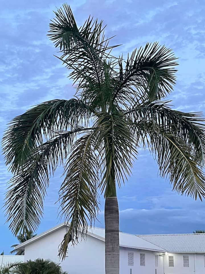Copa Sea View Rental Unit 1 - Corozal