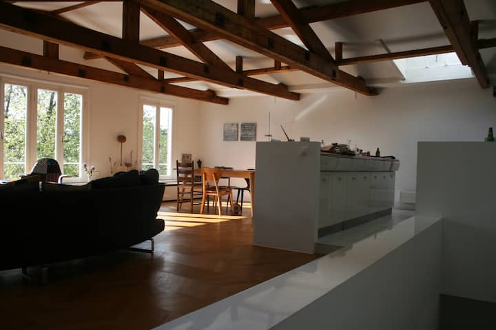 Appartement De Caractère, Spacieux, Bon Location - Amsterdam
