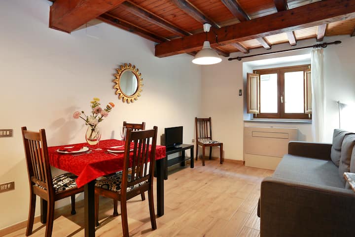 San Zanobi Apartment - Florence