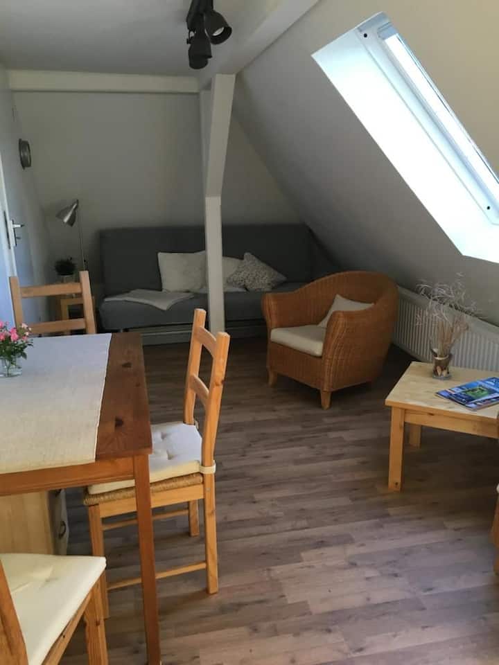 Gemütliche Kleine 2-zimmer Wohnung - Friedrichstadt