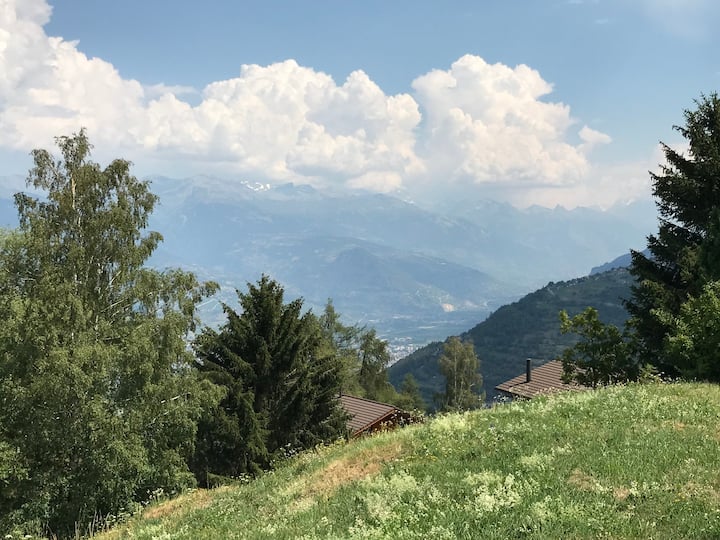 Chalet Pattier - Nendaz