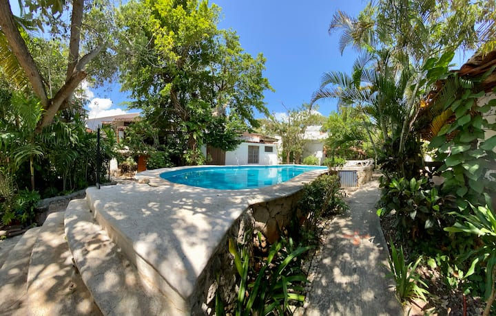 The Tropical Jungle Oasis In Cancun - Cancún