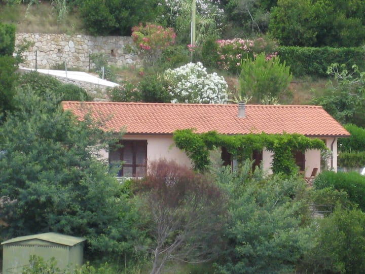 Il Melograno - Porto Azzurro