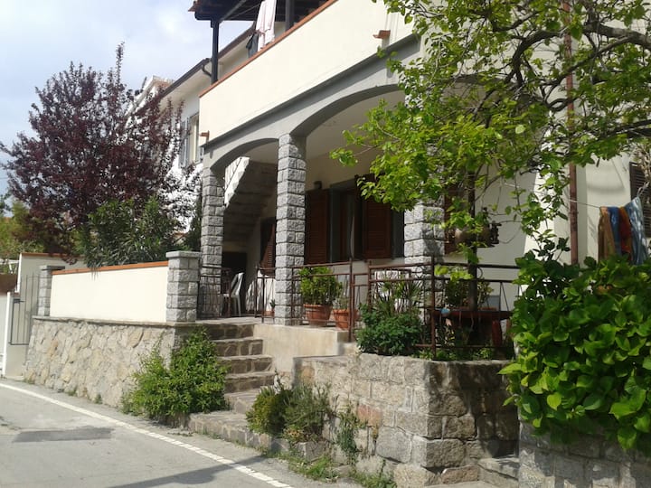 Island Of Elba - Pomonte  Iris - Elba