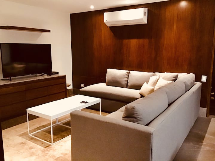 13 Eme Dpto. Nuevo Centrito Colonia Del Valle - San Pedro Garza García