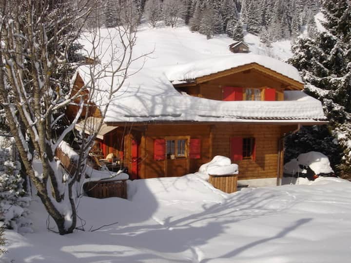 Exclusive, Charming 4 Bedroom Chalet Near Gstaad - Gstaad