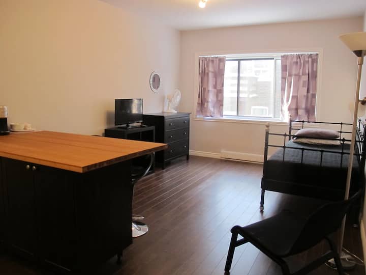 Soshe 204 Adjacent Muhc Glen Campus - LaSalle