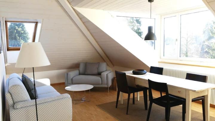Modern Attic Apartment Close Hsg University & Olma - St. Gallen