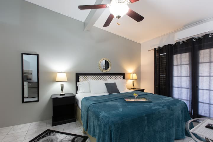 Serene Comfort Studio Apartment - Kingston