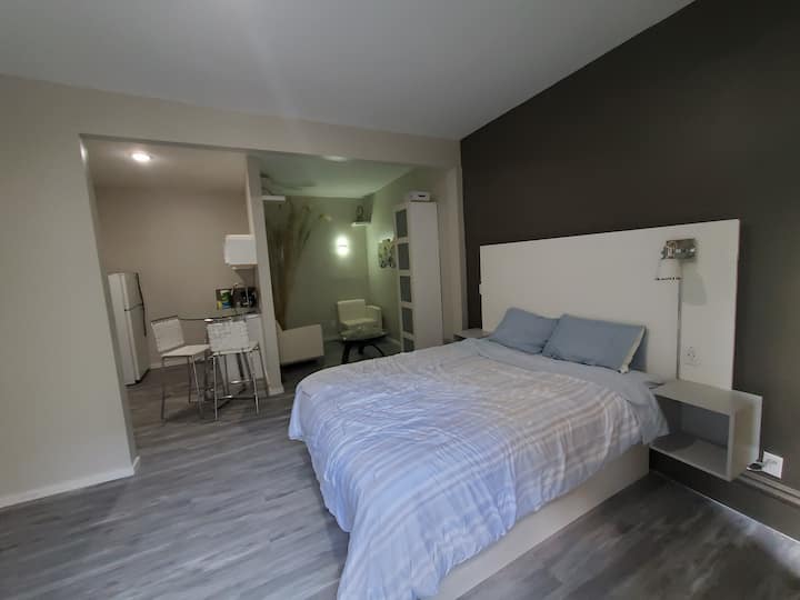 Downtown Lovely Loft - Rockford, IL