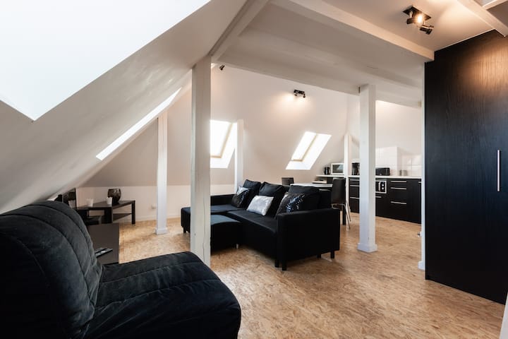 Superbe Location Centre Strasbourg - Strassburg