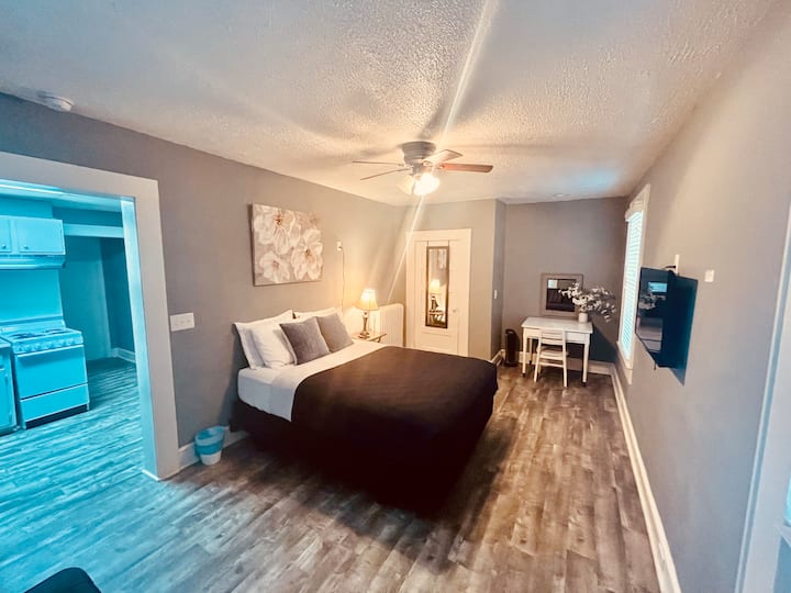 Sunshine 1-b Apt At Walking Distance To B/hospital - Winston-Salem, NC