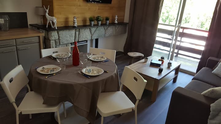 Saint Lary Soulan Village  T3 Face Au Plat D'adet - Saint-Lary-Soulan