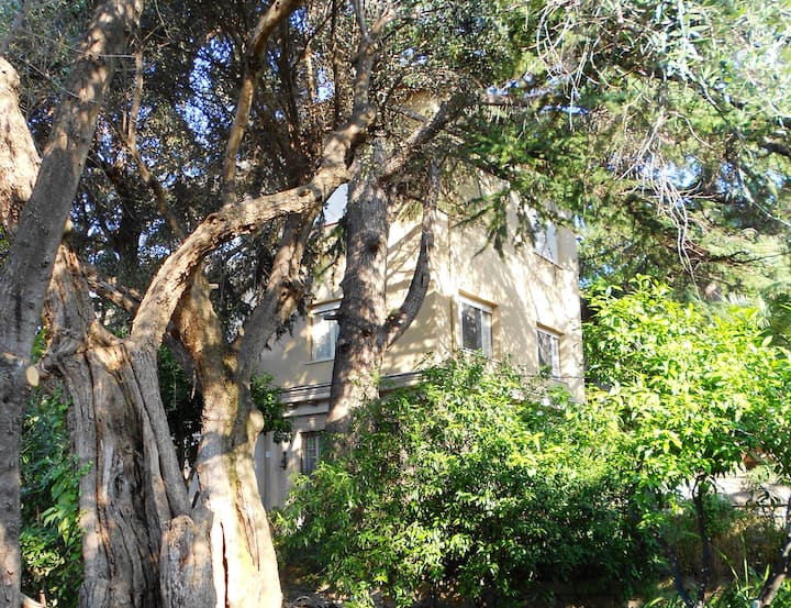 First Floor Villa With Large Garden - Diano Marina