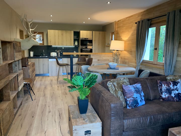 Superbe Bas De Chalet - Valberg