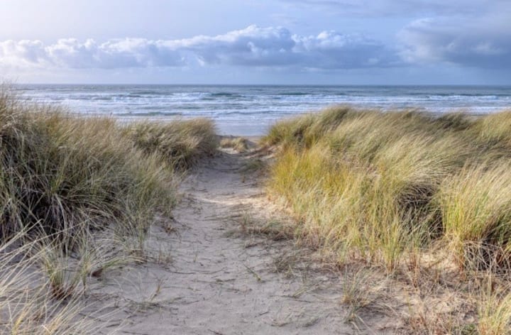 Beautifully Updated Beachfront Home-pet Friendly! - Waldport, OR