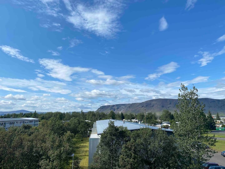 Selfoss C - Great View!, South Road Nr. 1 - Selfoss