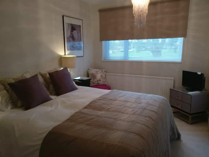 Room 1 Handy For Races, Cheltenham And Ge Aviation - Cheltenham